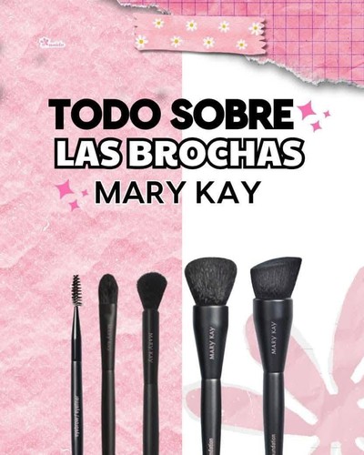 Mary Kay Brush Collection Set with Organizer and 5 Full Size Brushes | eBay