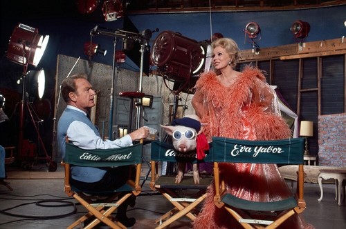 Green Acres Cast Set Studio Photo Poster Framing Print 8 x 10 | eBay