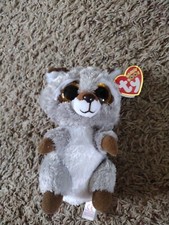 Oakie the Raccoon - Beanie Boos - Beaniepedia