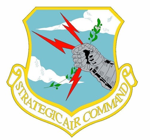US Air Force SAC Strategic Air Command Sticker Decal M675 | eBay