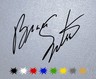 Bruce Springsteen THE BOSS Signature Decal Sticker Autograph Singer pop ...