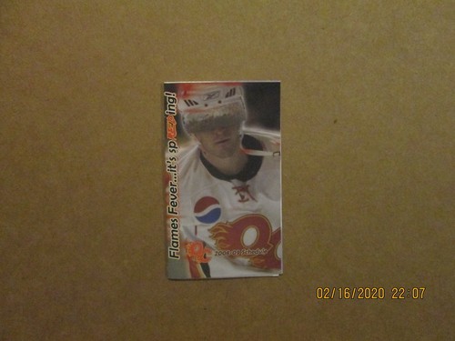 AHL Quad City Flames Vintage Defunct 2008-09 Team Logo Hockey Pocket ...