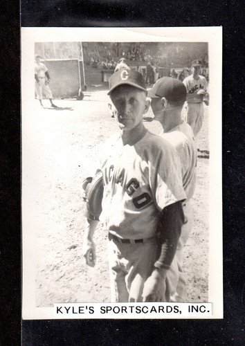 Ray Berres CHICAGO CUBS UNSIGNED 3 x 4-1/2 ORIGINAL B & W SNAPSHOT ...