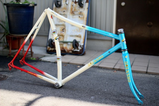 Pursuit Bike Frame