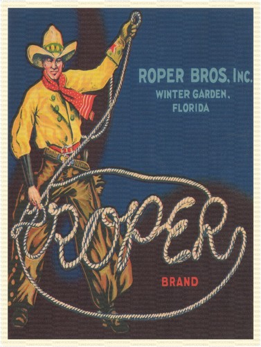 Roper Brand Florida Fruit Label 9" x 12" Metal Sign | eBay