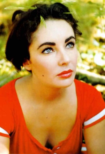 Elizabeth Taylor Moments Intime 8x10 Picture Celebrity Print | eBay