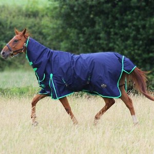 Outdoor Horse Rugs for sale | eBay