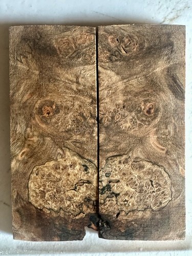 M124 Stabilized Spalted Maple Burl Knife/Axe/Gun Scale 2x5x3/8 Birds ...