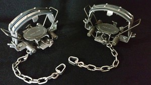 SOUTHERNSNARESSUPPLY | eBay Stores