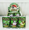 THE ULTIMATE COMPLETE 1ST EDITION POKEMON BOOSTER BOX COLLECTION ...