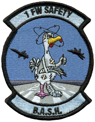 USAF 1st FIGHTER WING – SAFETY BIRD/WILDLIFE AIRCRAFT STRIKE HAZARD ...