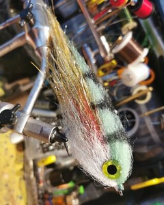 predator flies Scotland | eBay Stores