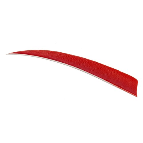 Trueflight Shield Cut Feathers Red 4 In. RW 100 Pk. 650747116030| eBay