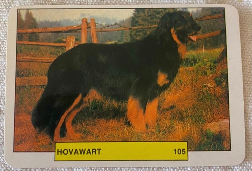 ⭕⭕VTG pocket calendar 1993 DOGS MANIL HOVAWART N105 | eBay