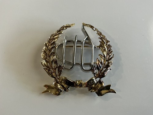 UDC United Daughters of the Confederacy Pin Pamela Wright Sterling ...