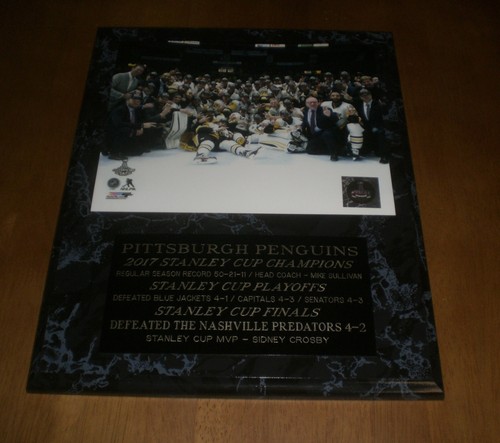 2017 PENGUINS STANLEY CUP CHAMPIONS TEAM CELEBRATING PHOTO PLAQUE | eBay