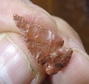 Lewis Artifact Inventory | eBay Stores