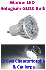 Sump Light for sale | eBay