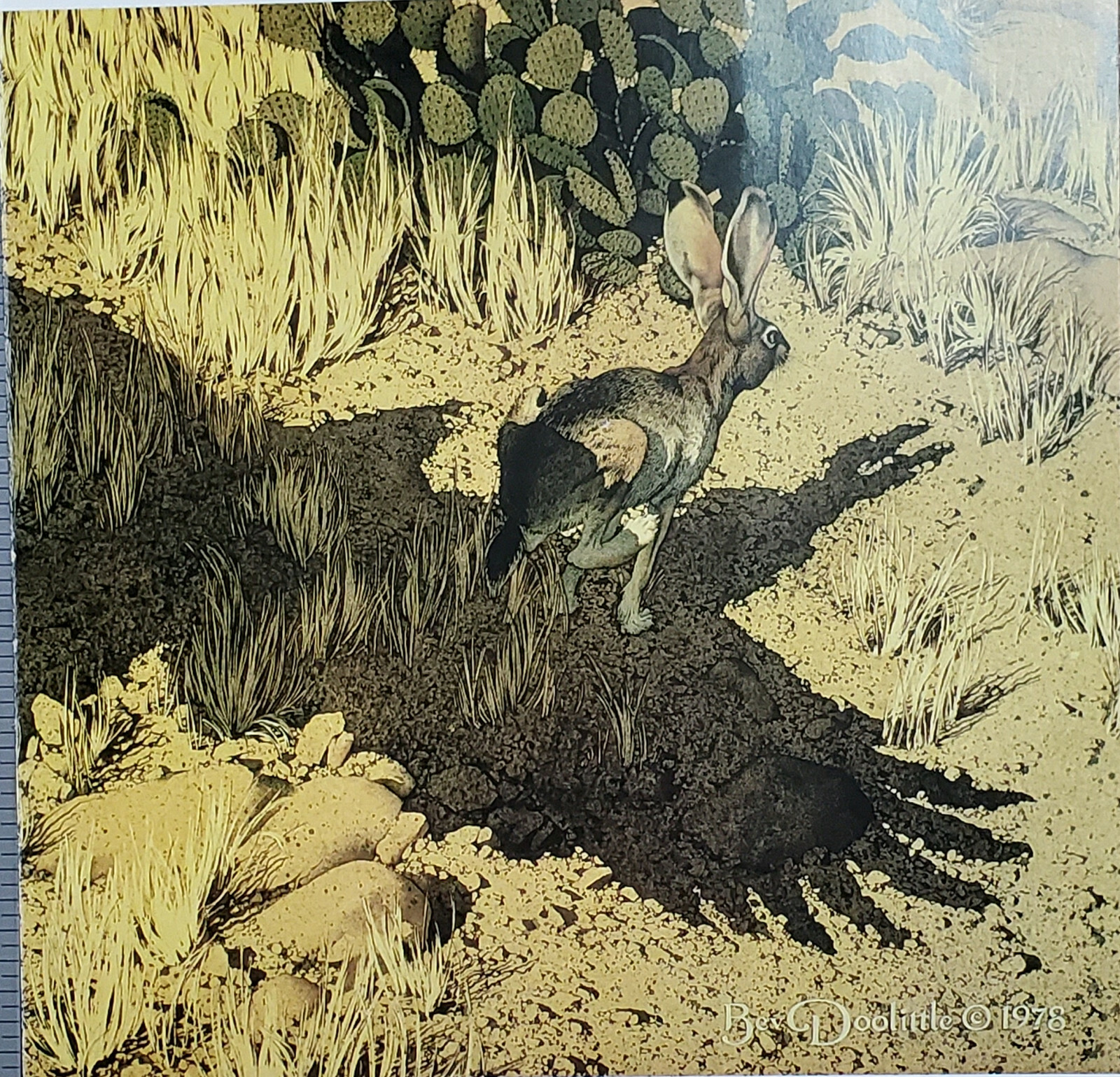 *Bev Doolittle "ESCAPE BY A HARE"-WSS Collector-Native American-Indian ...