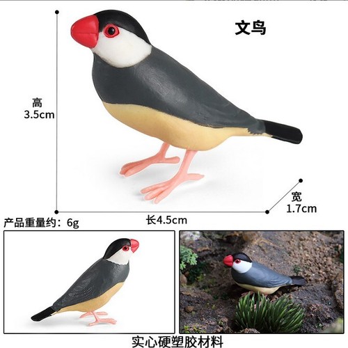 4.5cm Mini Java Sparrow Bird PVC Toy Wild Animal Figure Doll Kids Gift ...