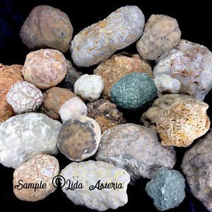 Kentucky Rock Shop Geodes & Agates | eBay Stores