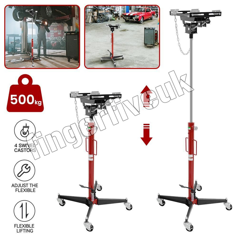 Jack Pacini's Instagram, Twitter & Facebook on IDCrawl