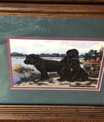 Jim Lamb Prints for sale | eBay