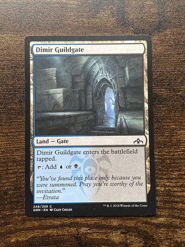 Dimir Guildgate (246) Guilds of Ravnica Magic The Gathering MTG D6361 ...