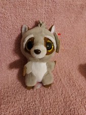 Oakie the Raccoon - Beanie Boos - Beaniepedia
