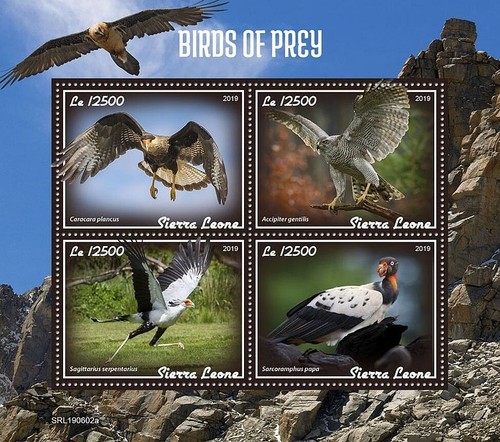 BIRDS OF PREY 4-Value MNH Birds/Bird Stamp Sheet #637 (2019 Sierra ...