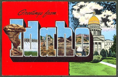 Greetings from IDAHO large letter postcard 4770N-36 1930s | eBay