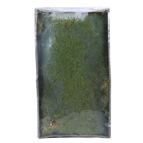 Green Moss With Tray (Natural Preserved Green) 500g (4974) | eBay UK