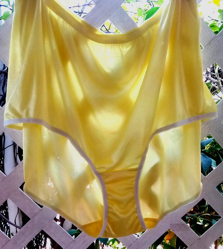 CC LINGERIE SUNGOLD FULL FIGURE SHEER NYLON GRANNY PANTY BRIEF 14 | eBay