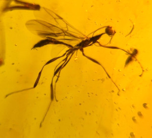 TerraTreasures | eBay Stores