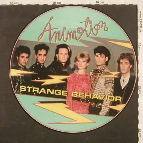 Animotion Strange Behavior , Anxiety, One Step Ahead Uk 12" PICTURE ...