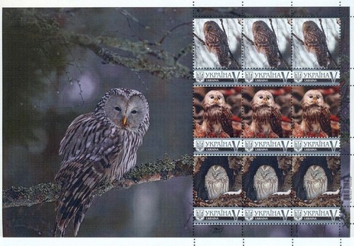Ukraine 2015, Fauna, Owl, sheet 9v | eBay