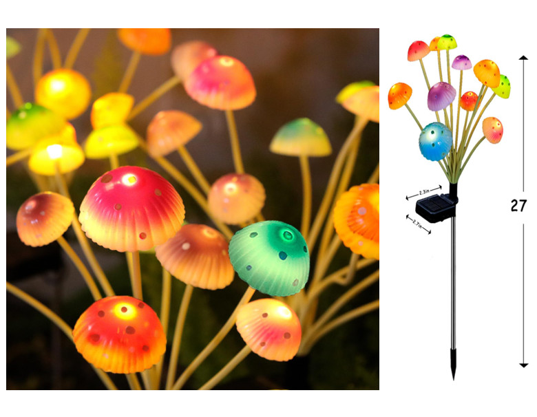 Pasarela Iluminada Con Hongos