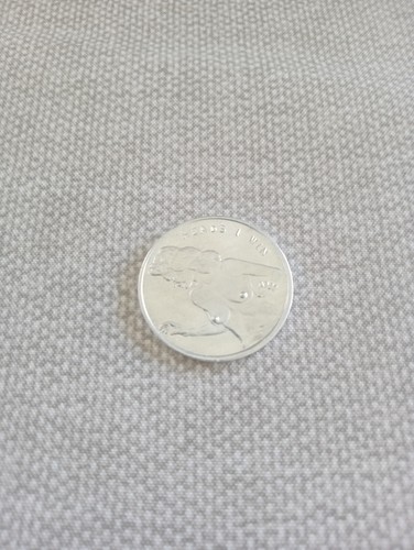 Heads I Win, Tails you Lose Challenge Coin Aluminum Novelty Coin ...