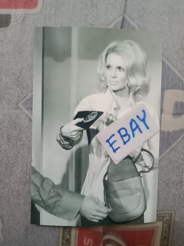 POLICE WOMAN TV SHOW, ANGIE DICKINSON AS PEPPER ANDERSON, GLOSSY B&W ...