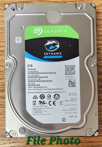Seagate SkyHawk 6TB 3.5" Surveillance Hard Drive SATA ST6000VX0023 | eBay