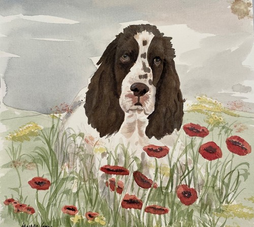 English Springer Spaniel Original Watercolor Painting by Coen Portrait ...