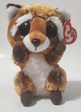 Rusty the Raccoon : Beanie Boos : Beaniepedia