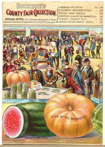 county fair Buckbee plant guide vegetable packet retro poster wine bar ...
