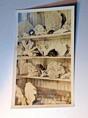 TA2- 87. RPPC 140 Coral from Barrier Reef, Green Island, Queensland ...