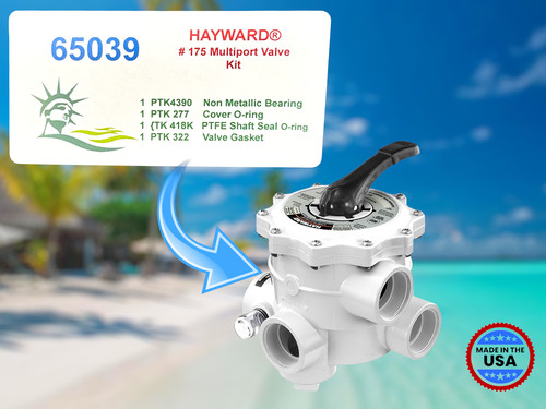 SP715 & SP716 Multi-Port Pool Valve Rebuild Kit 65039 for Hayward | eBay