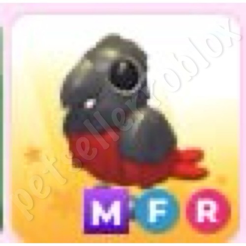 Adopt A Pet from Me - Mega Neon Fly Ride Dracula Parrot - *SAME DAY ...