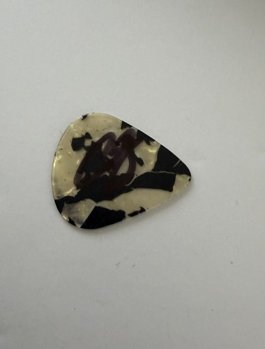 Chris Stapleton Autographed Signed Guitar Pick | eBay