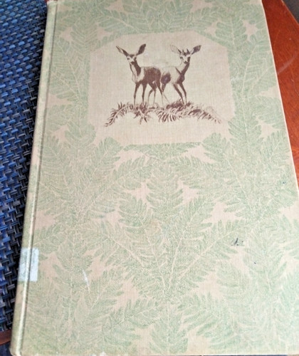 Dash & Dart By Mary & Conrad Buff Hardcover 1943 2nd Print-Deer Story ...