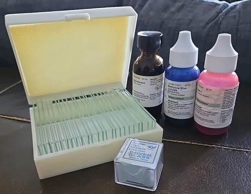 Apologia biology slide kit Methylene blue, iodine, blank slides, cover ...