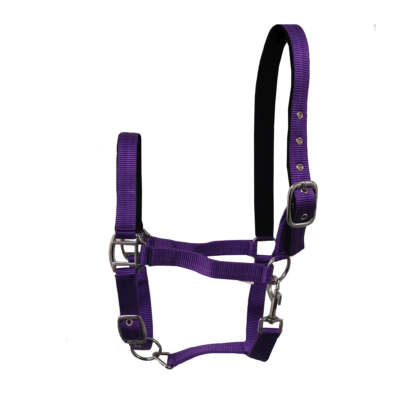 Purple Cob Headcollar for sale | eBay